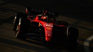 Formula 1 Practice Session Delayed As Giant Lizards Invade Track Formula 1 Practice Session Delayed As Giant Lizards Invade Track
