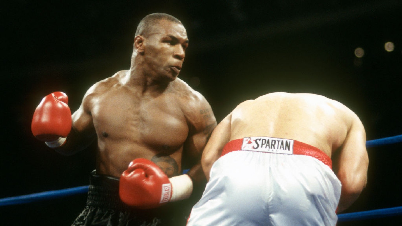 Why Is Mike Tyson Obsessed With Pigeons?