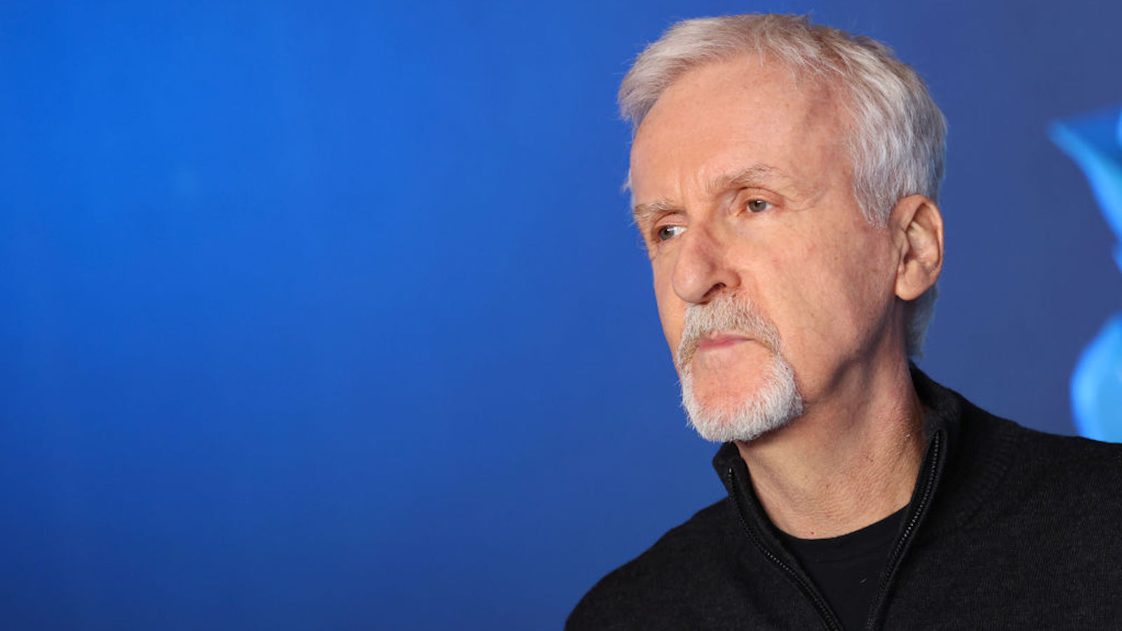 James Cameron Punched Safety Diver In Face To Save His Life