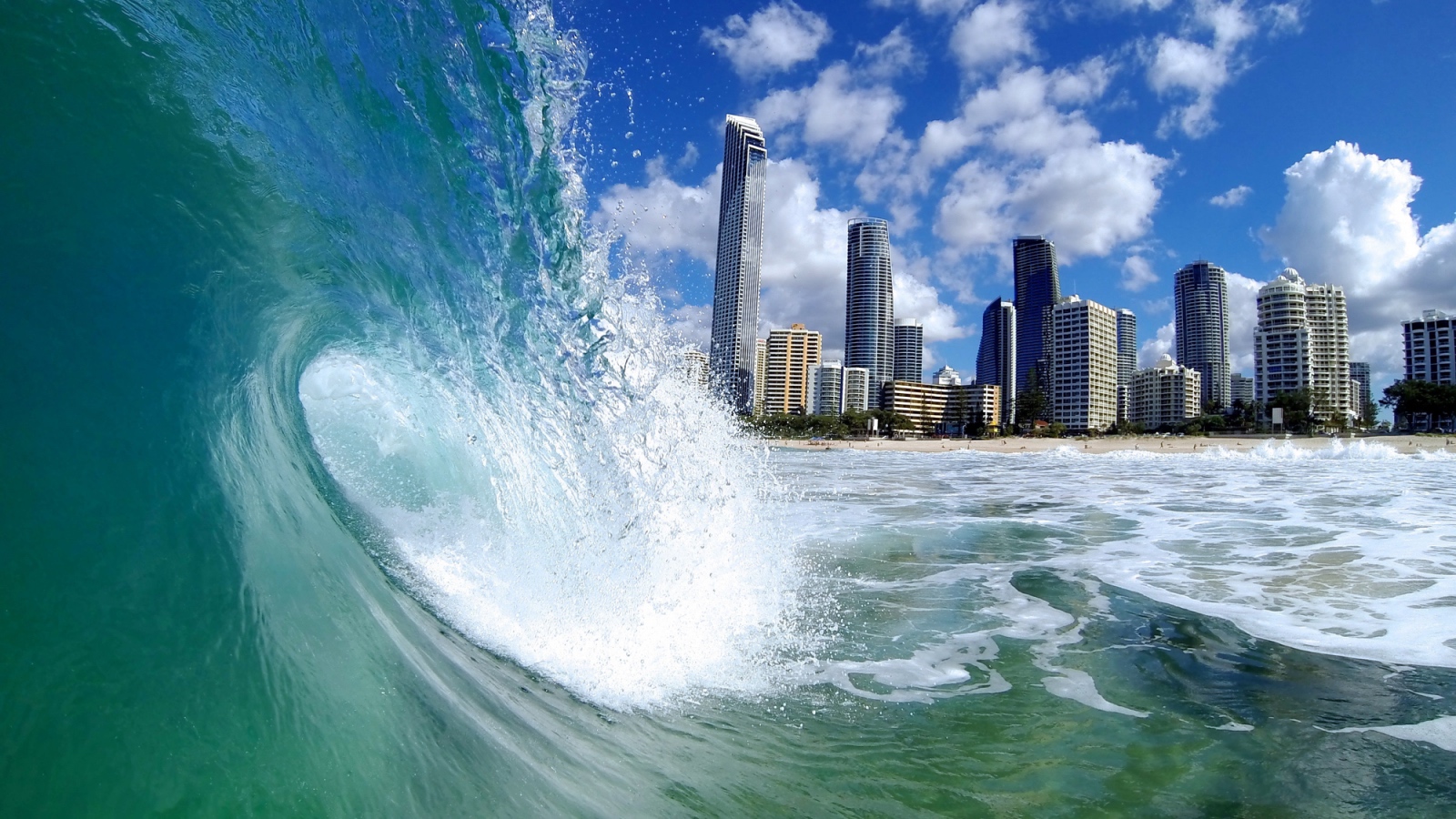 Man Surfing With Pet Snake Is As Australian As It Gets