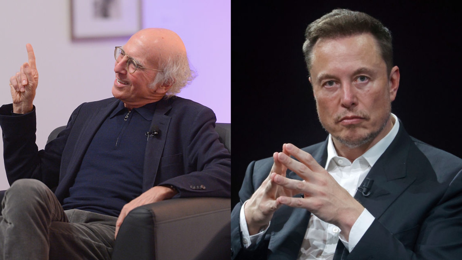 Larry David Confronted Elon Musk At A Wedding Over Politics