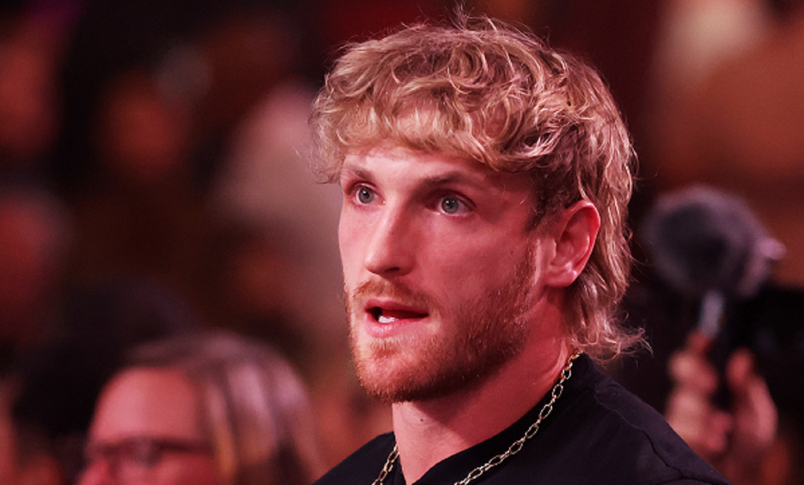 Logan Paul's Fiancee Nina Agdal Is Not The Woman In Viral Explicit ...