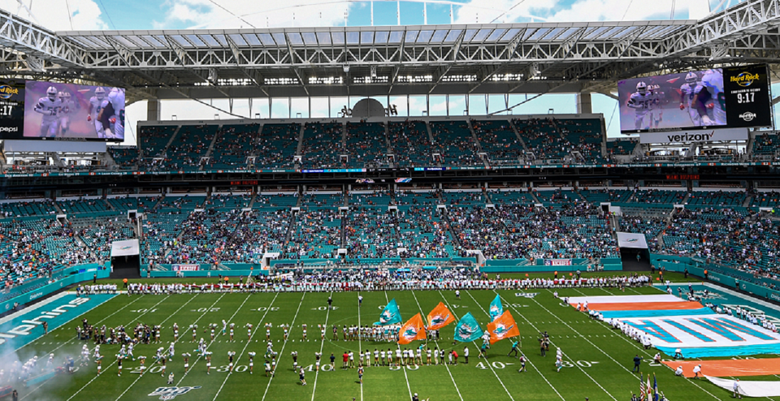 Viral Female Dolphins Fan Turns Out To Be An A.I. Generated Model ...