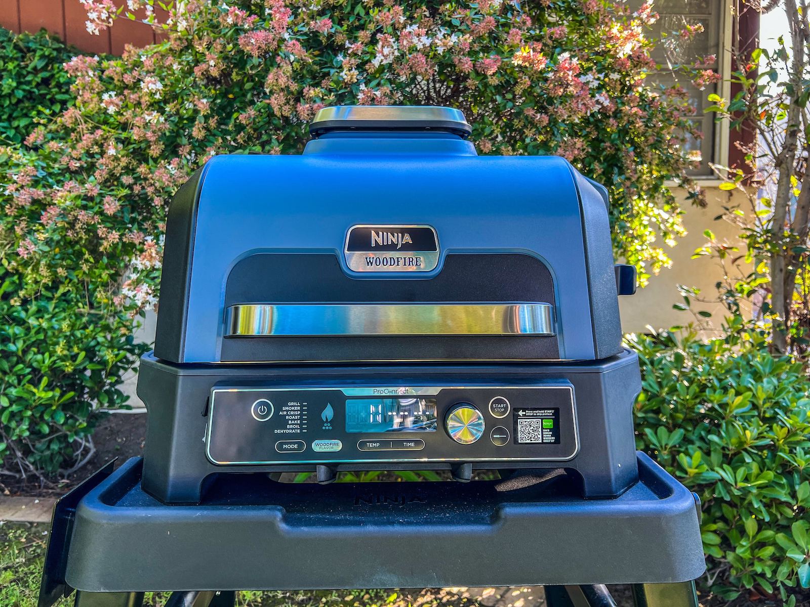 Ninja Kitchen's $500 Woodfire Grill And Smoker Will Level-Up Your Home ...