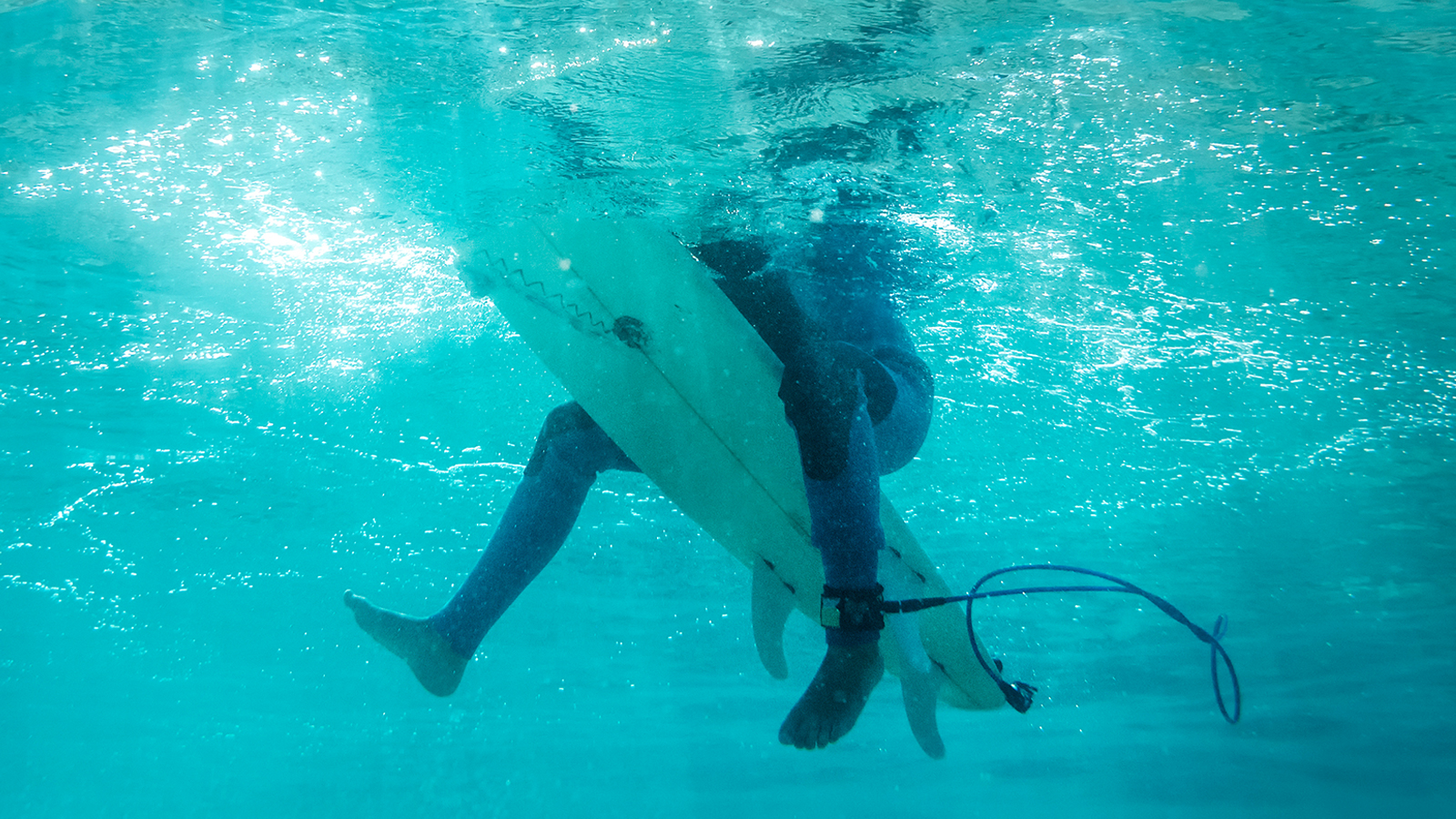 Surfer Shows Off Gnarly Scars After Getting Bit In Face By A Shark
