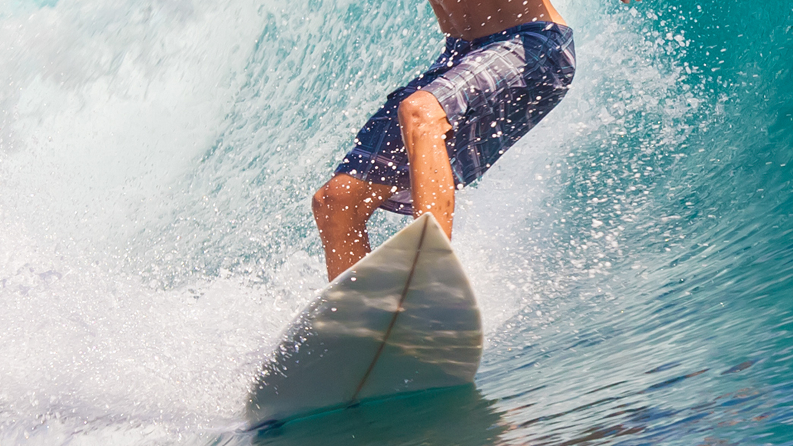 Australian Surfer Fined For Surfing With Pet Python In Viral Video