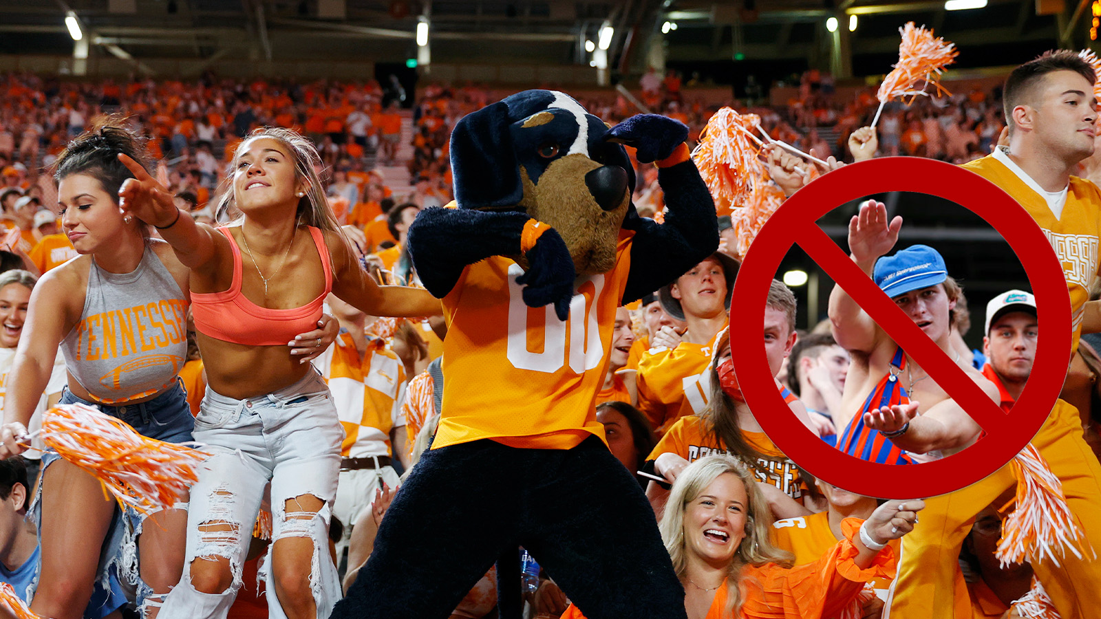 Tennessee Fans Look Silly After Disrespecting UF With Flag Plant