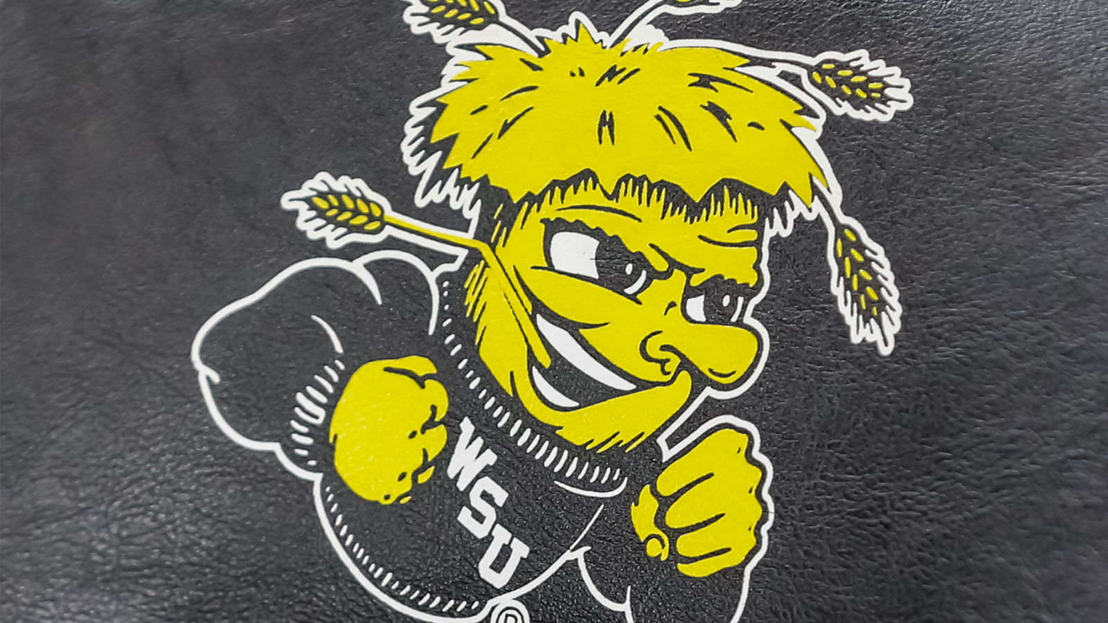 An Overlooked Plane Crash Killed 14 Wichita State Footall Players