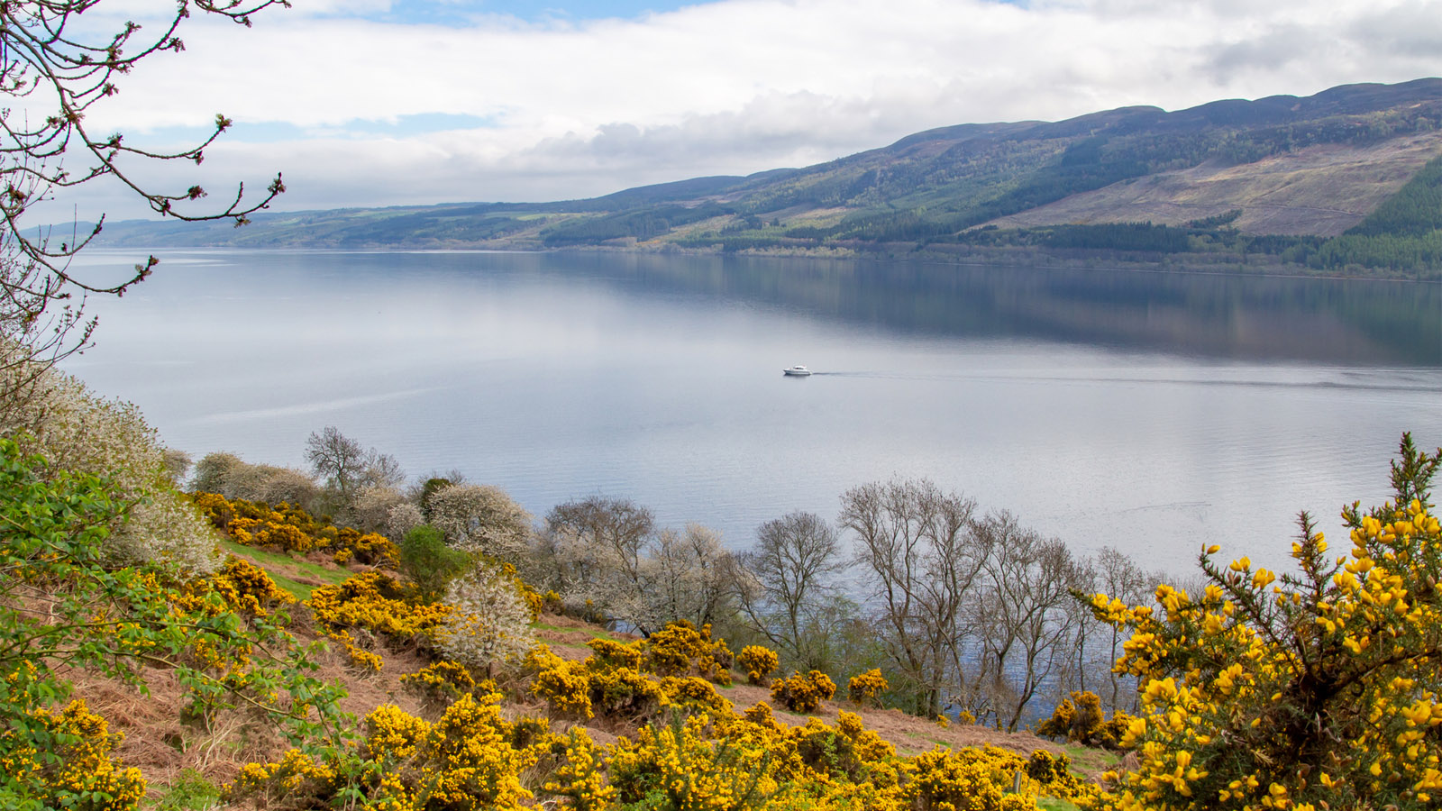 Does This New Footage Show The Loch Ness Monster's Offspring?