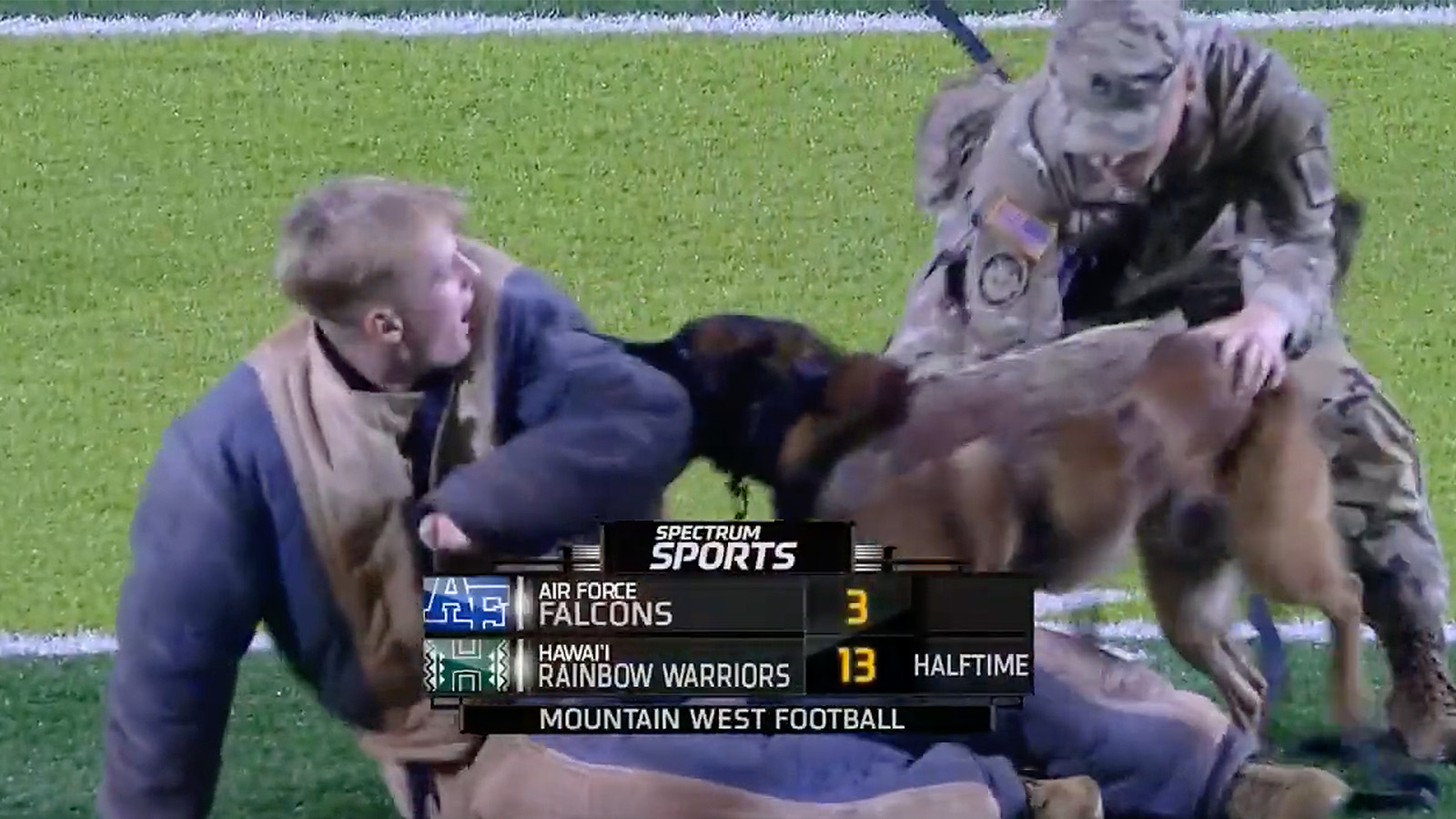 Air Force Dog Attacks Man At Halftime Of College Football Game