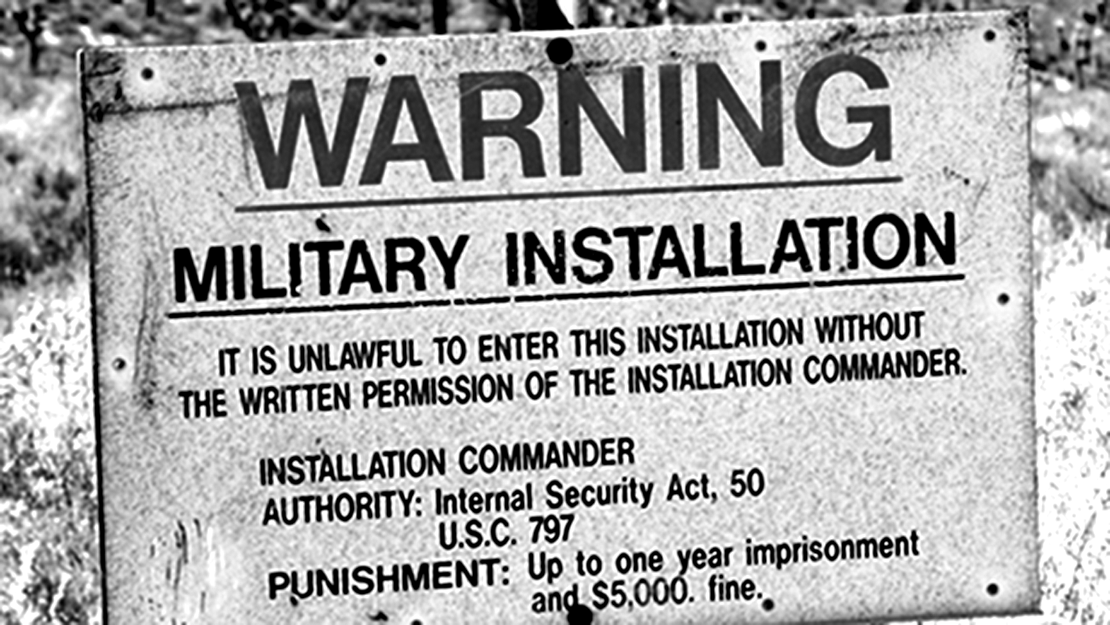 Whistleblower Claims Egg-Shaped UFO Was Seen Inside Area 51