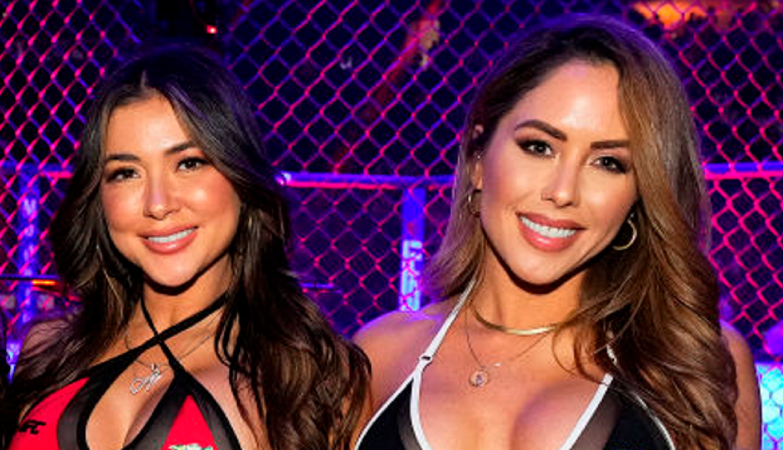 UFC Ring Girl Arianny Celeste Retires With Brittney Palmer At UFC 296 ...