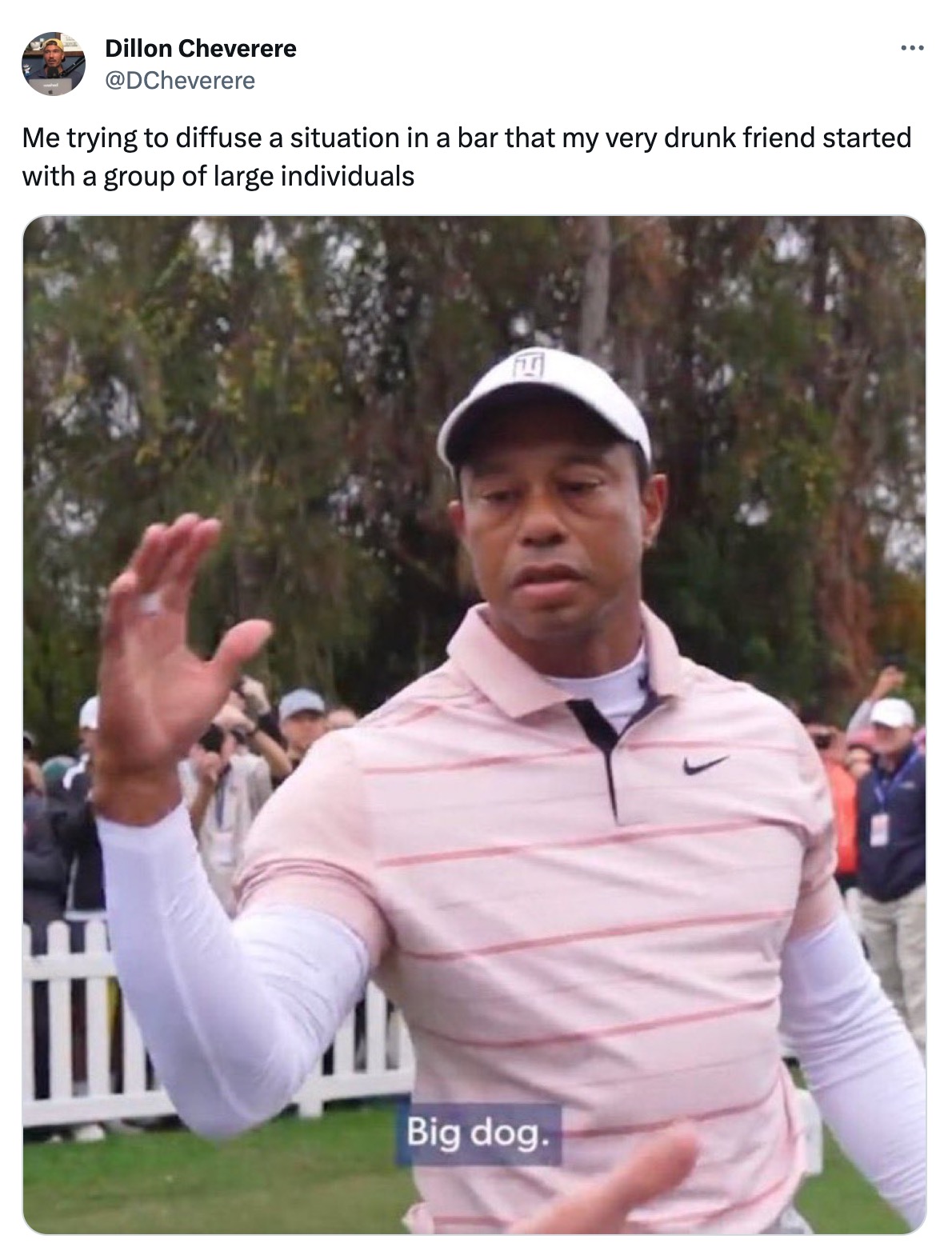 Best Of The Tiger Woods 'Big Dog' Meme Taking Over The Internet