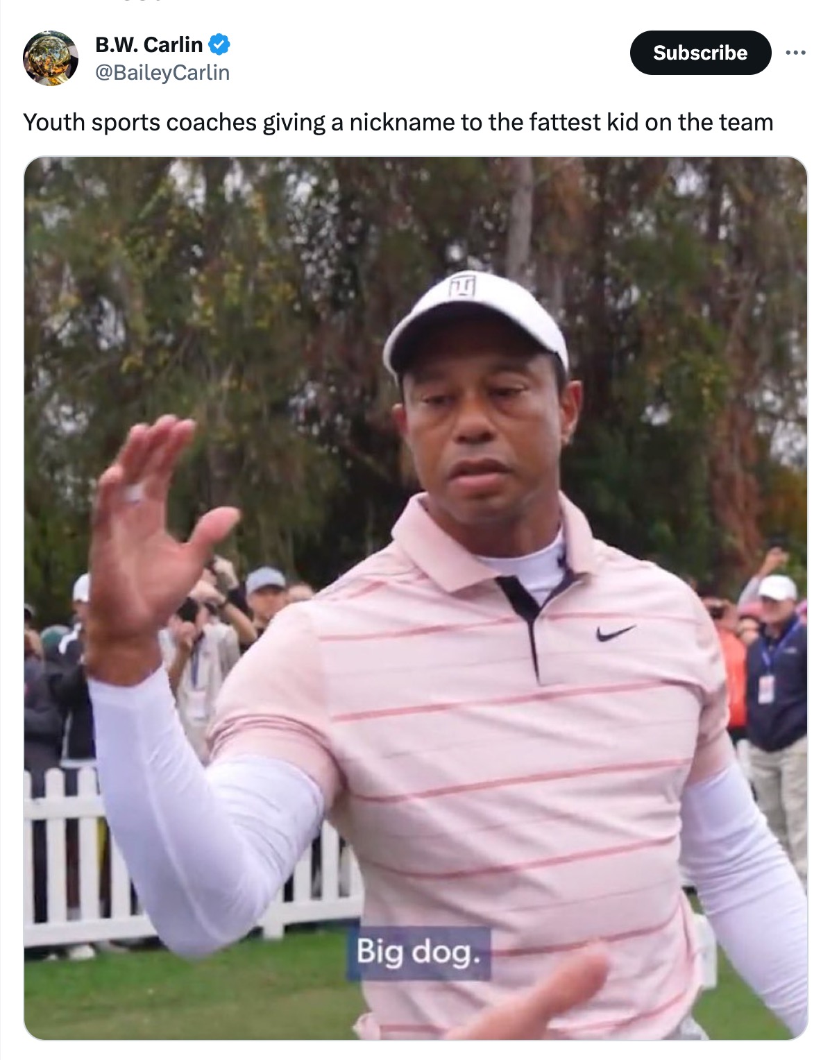 Best Of The Tiger Woods 'Big Dog' Meme Taking Over The Internet