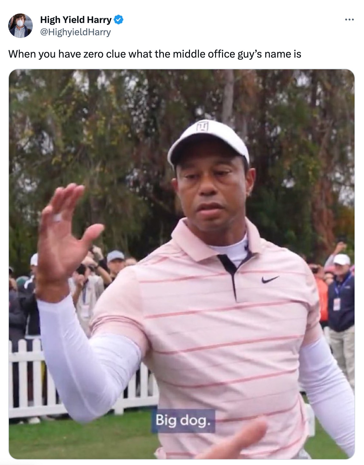 Best Of The Tiger Woods 'Big Dog' Meme Taking Over The Internet