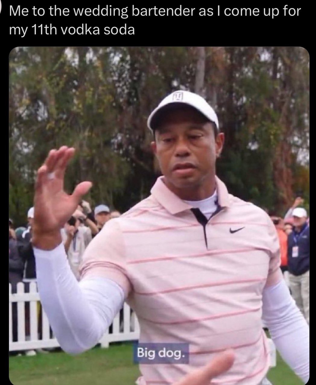 Best Of The Tiger Woods 'Big Dog' Meme Taking Over The Internet