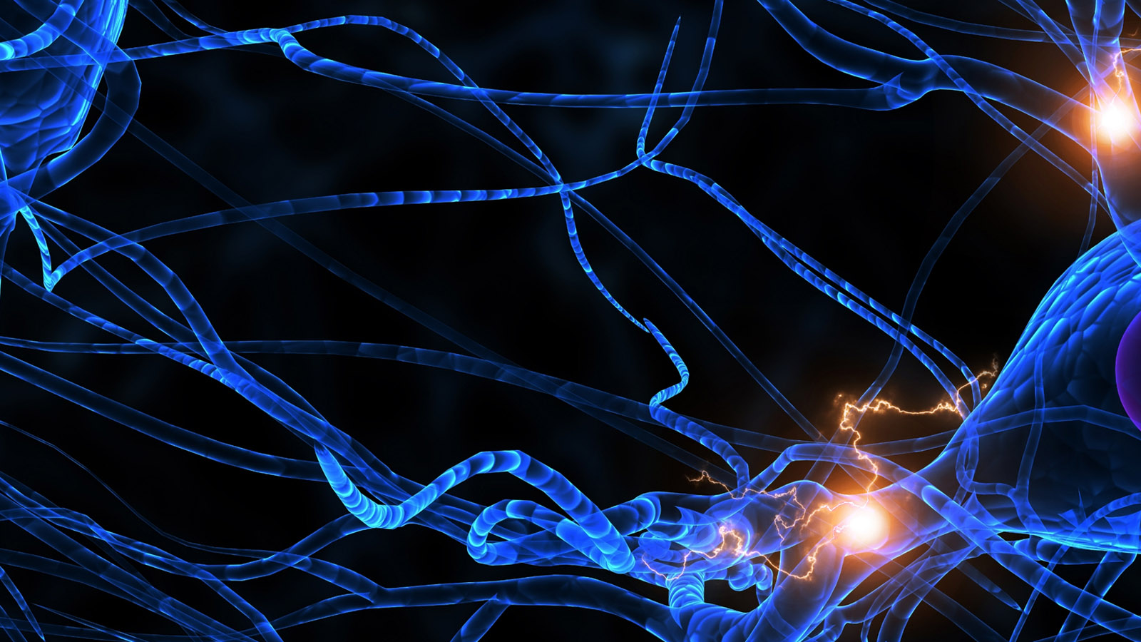 Scientists Created 'Mini-Brains" Out Of Human Fetal Brain Tissue