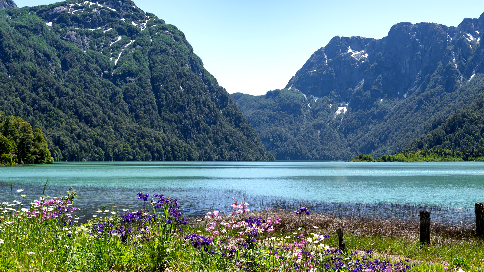 Argentina's Loch Ness Monster 'Nahuelito' Caught On Video
