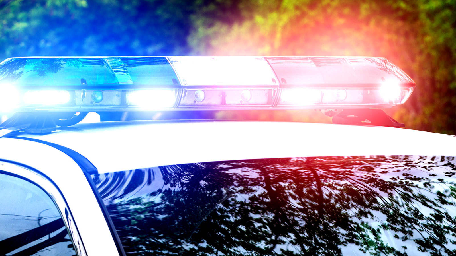 Florida Cop Mistakes Acorn For Gunfire, Empties Clip Into Own Car