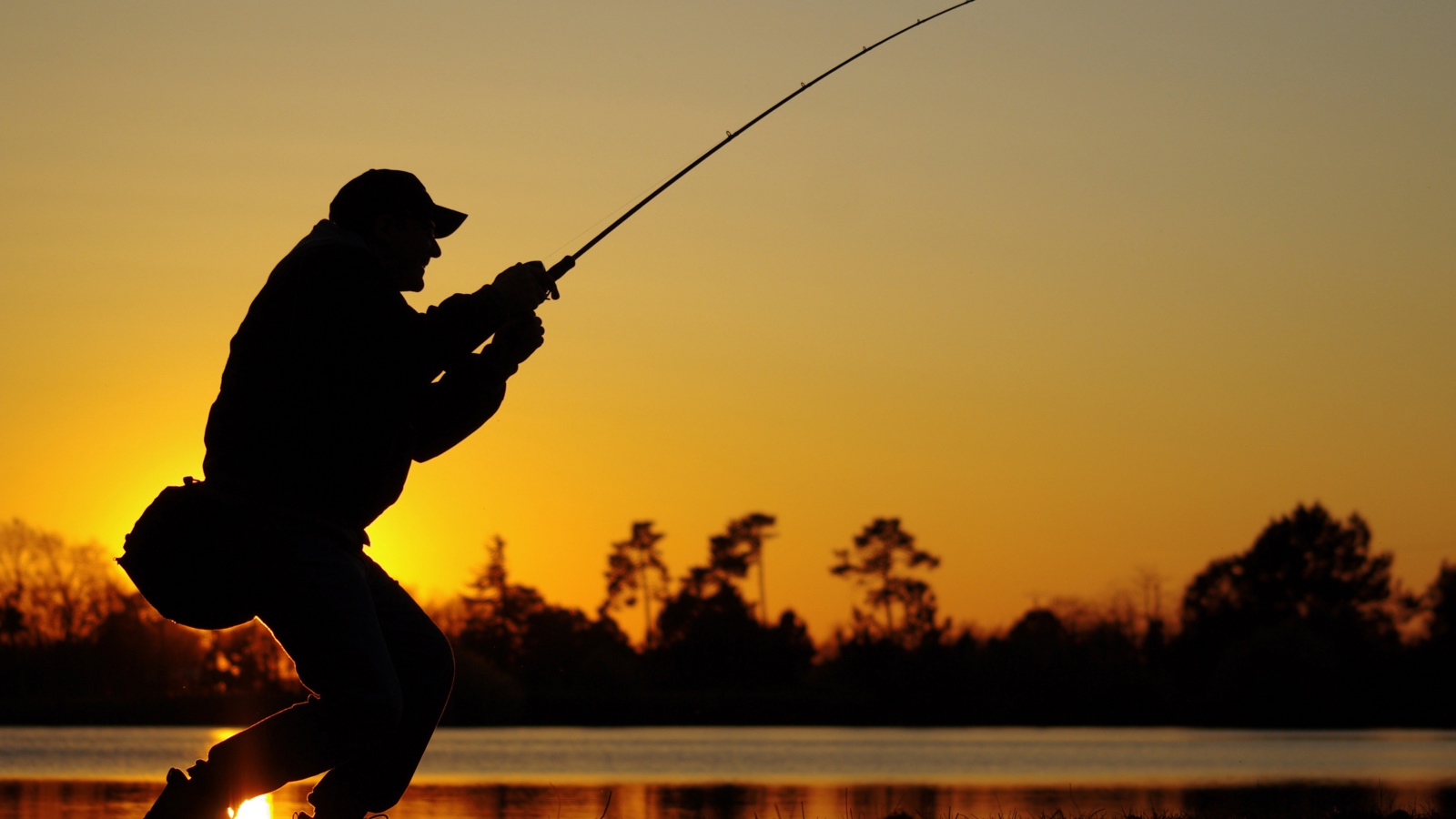 Three Texas Anglers Catch 13+ Pound Bass Fishing On Same Day