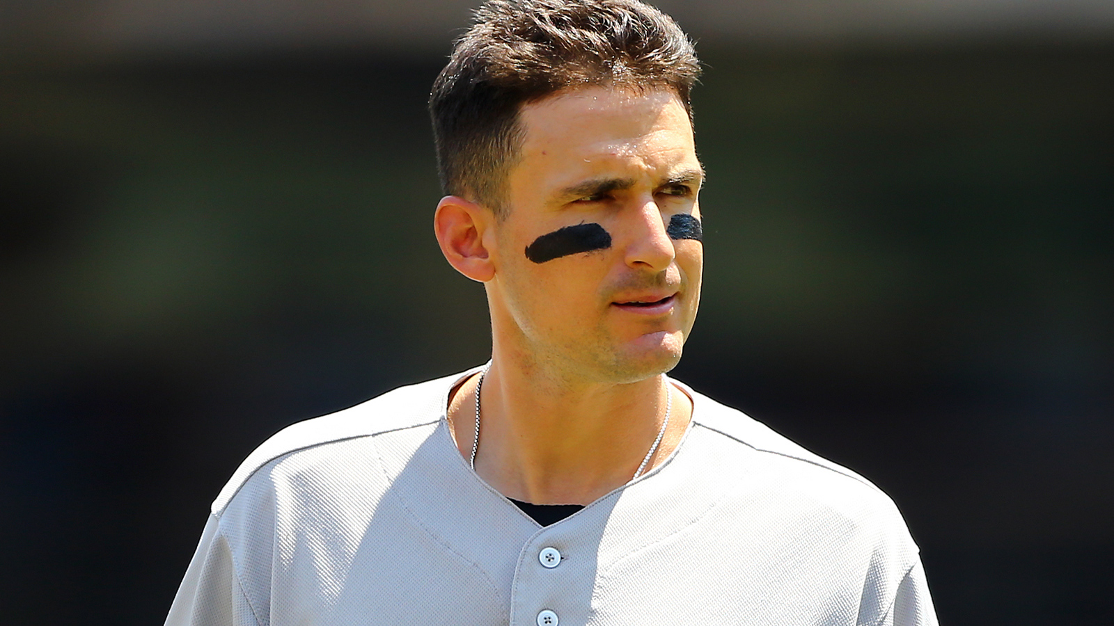 Baseball-Playing Monkeys Helped Ryan Flaherty Play For Orioles