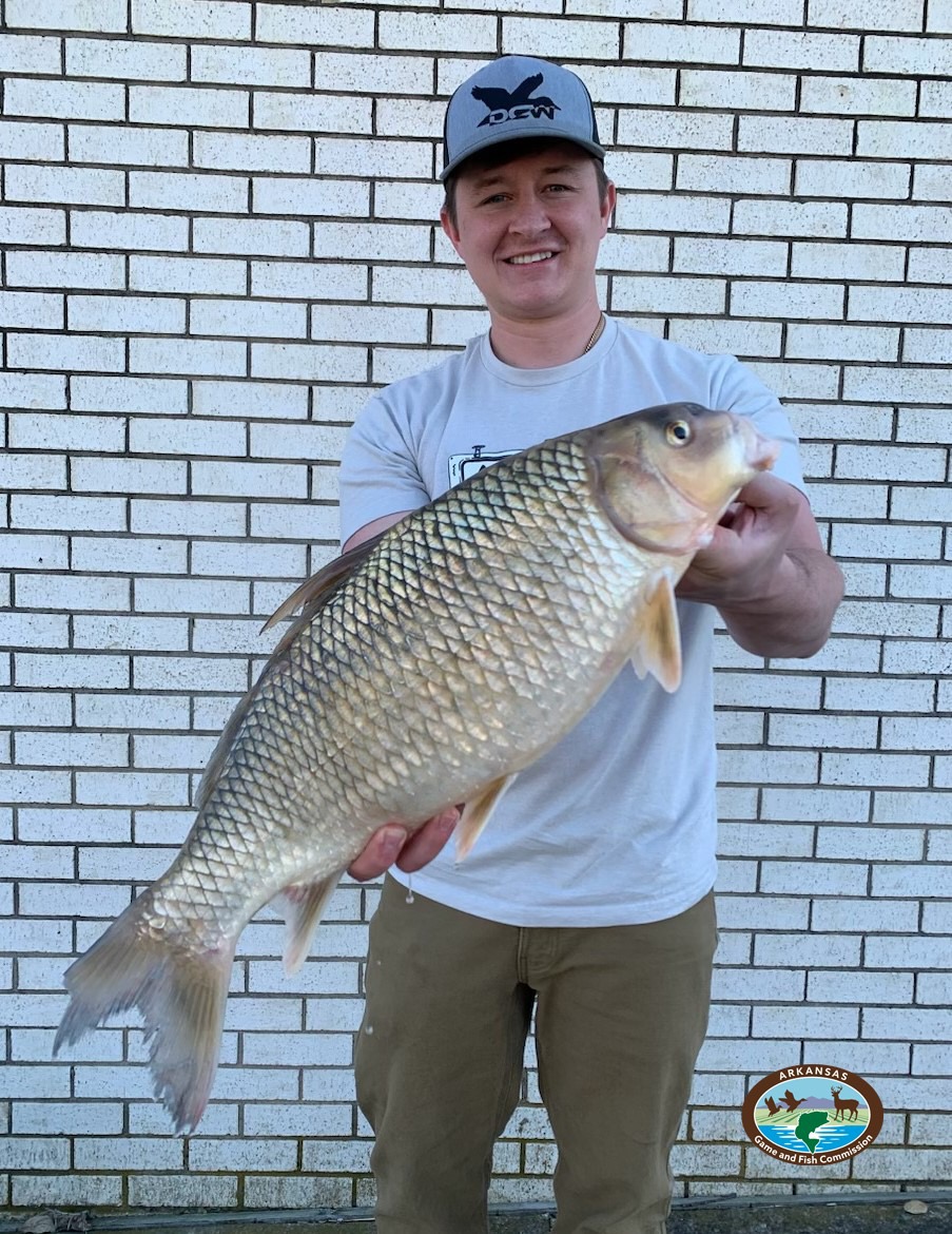 Arkansas Man's New Bowfishing Record For Quillback Carpsucker