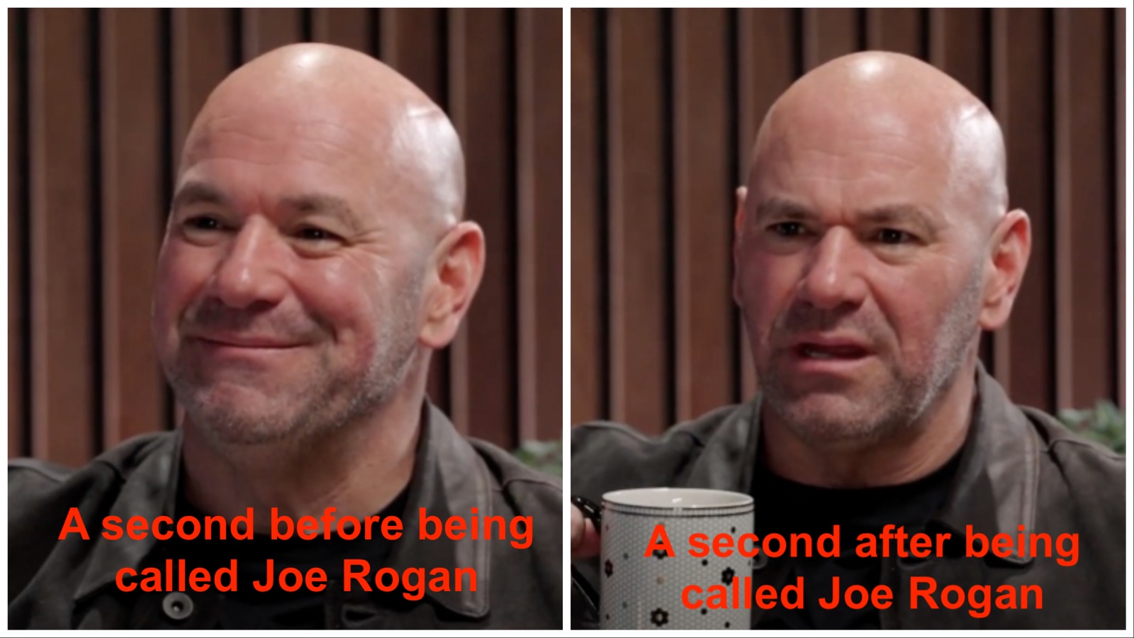 Sage Steele Confuses Dana White For Joe Rogan On New Pod