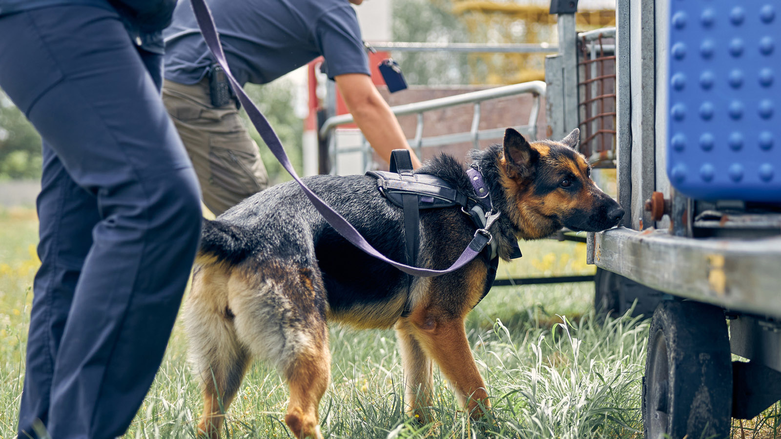 Agents Seize Over $20 Million In Narcotics At San Diego Border