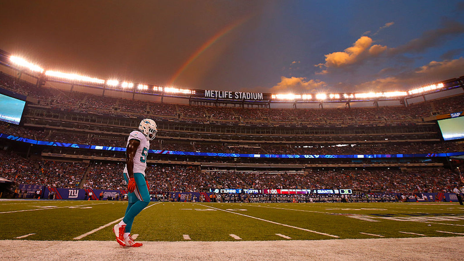 Giants Owner Shares Update About MetLife Getting Grass