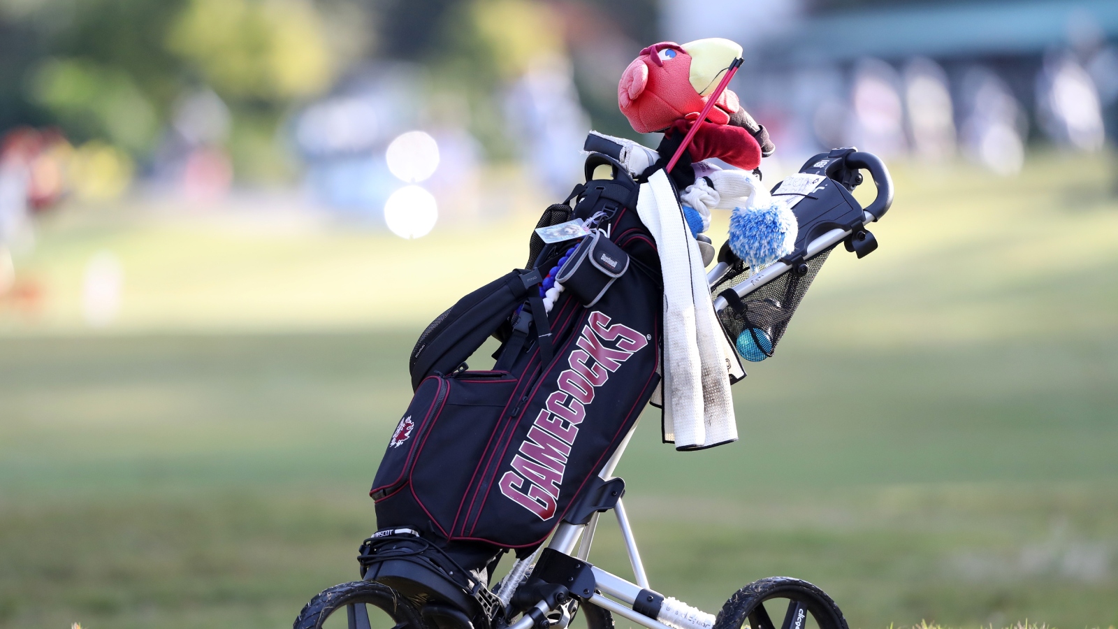 South Carolina Golf Star Injured When Team Van Gets In Crash