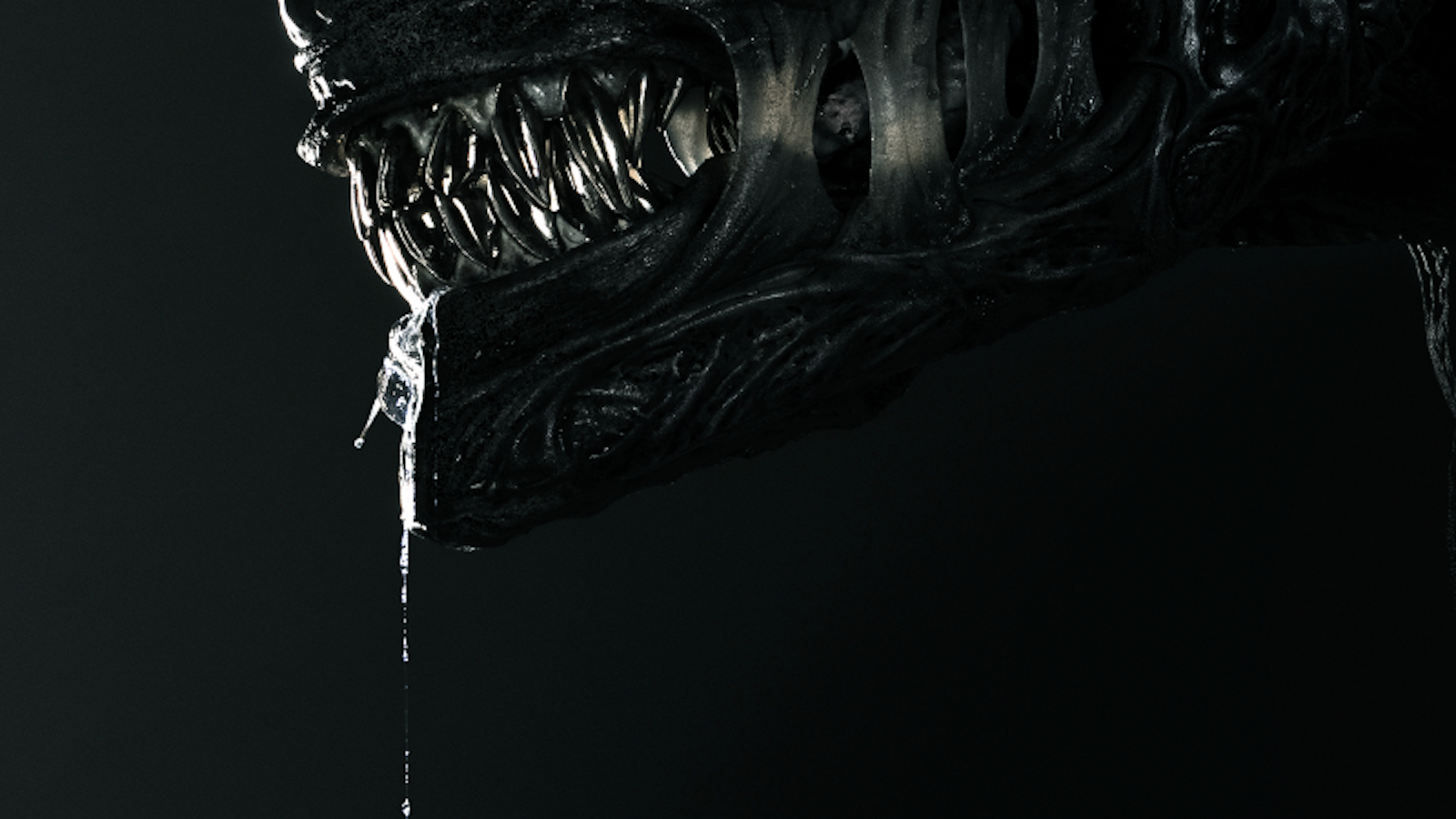 Robert Bobroczkyi: 7'7" Basketball Player In 'Alien: Romulus'