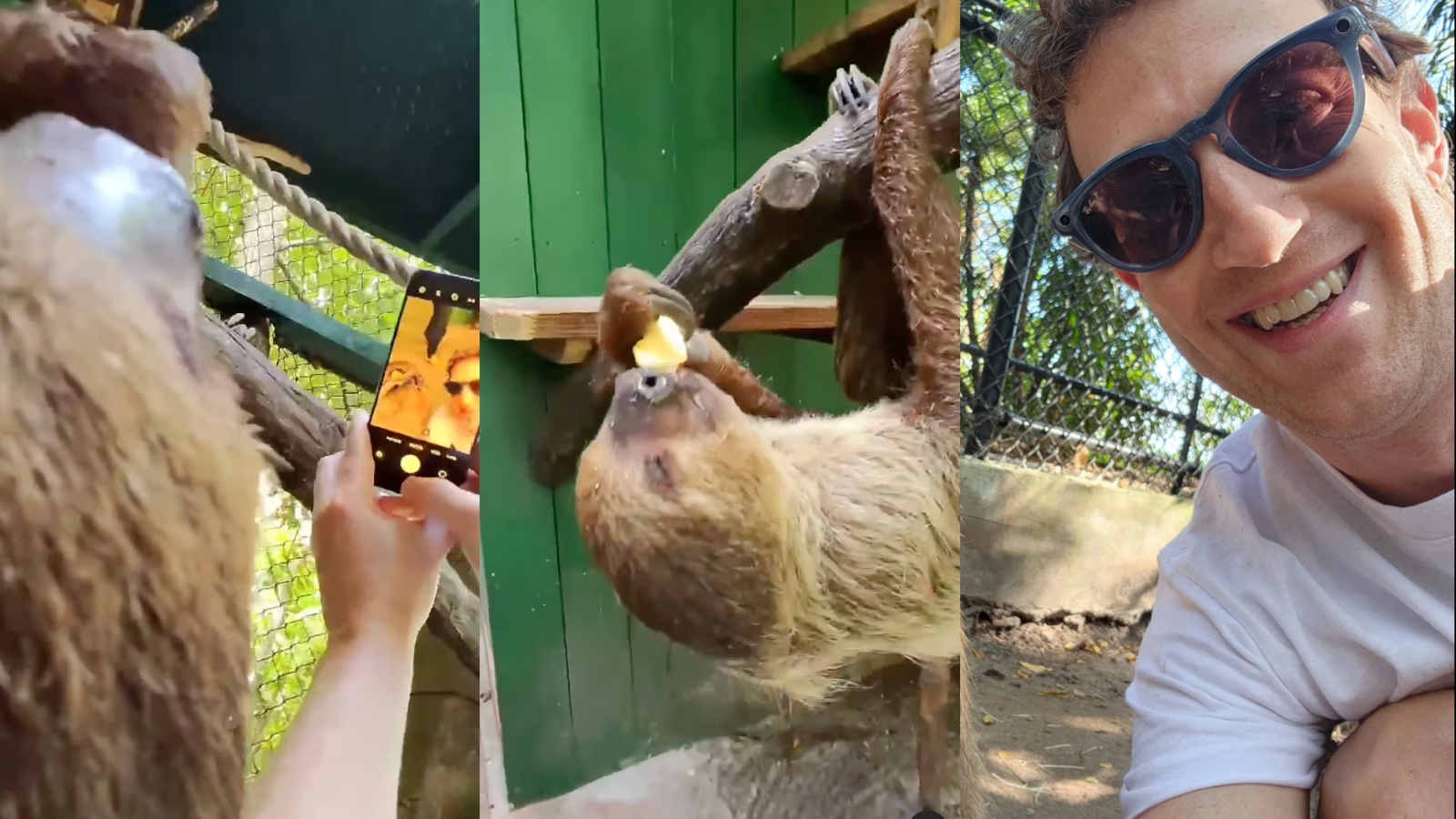 Mark Zuckerberg Turned A Sloth Selfie Into The Best Album Cover
