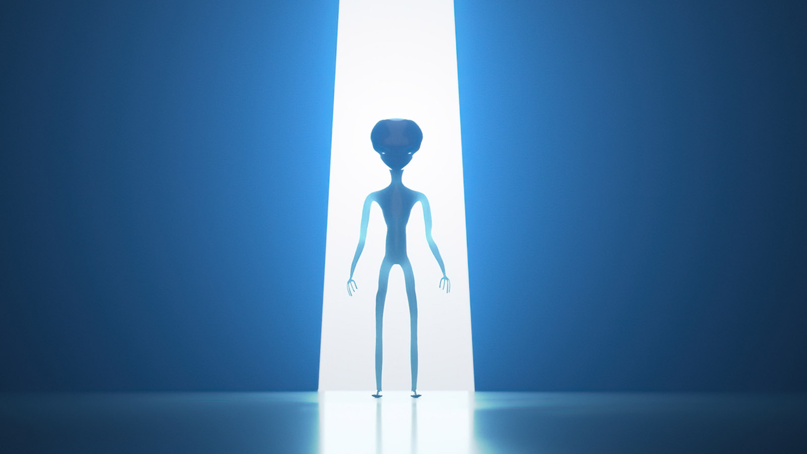 Authorities Seize 'Alien Mummy's Foot' From UFO Museum