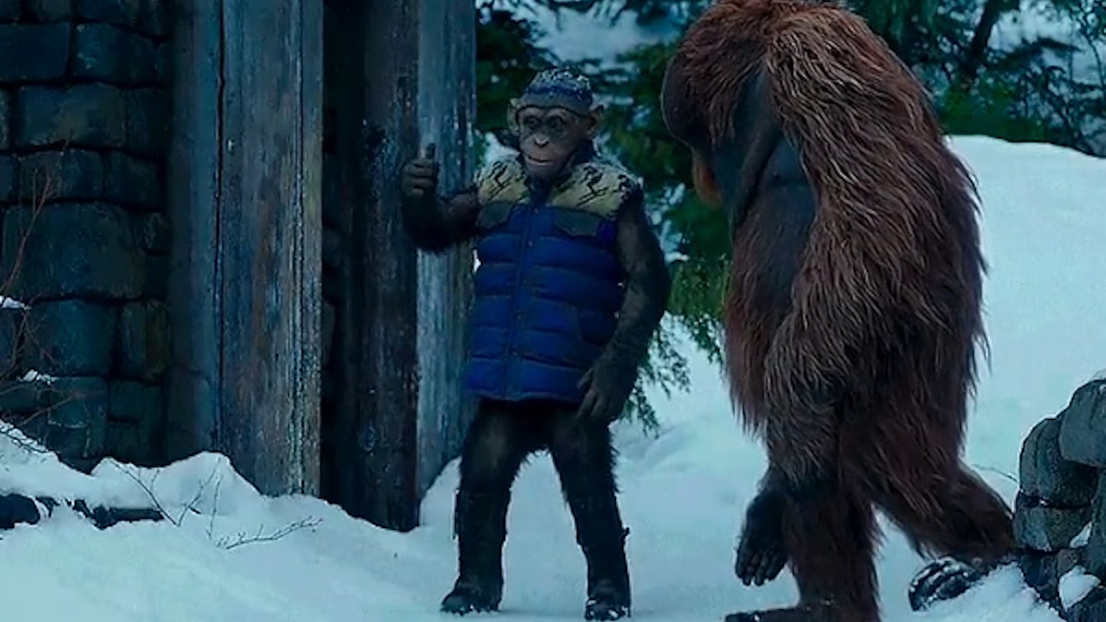 Movie Fans Celebrate Favorite 'Planet of the Apes' Characters