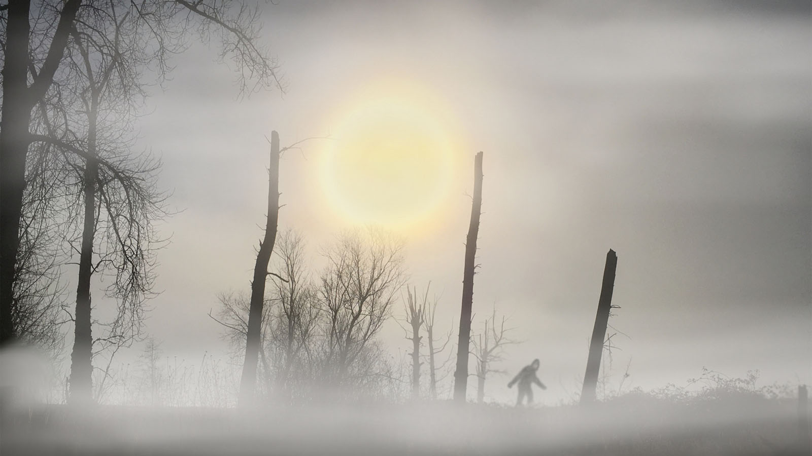 Two Witnesses Recall Scary Bigfoot Encounter In Oregon Forest