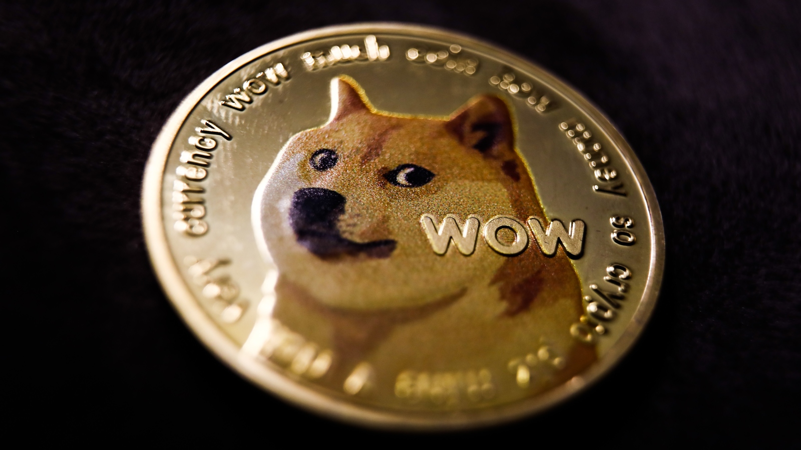 Kabosu The Meme Dog And Face Of Dogecoin Remembered By All