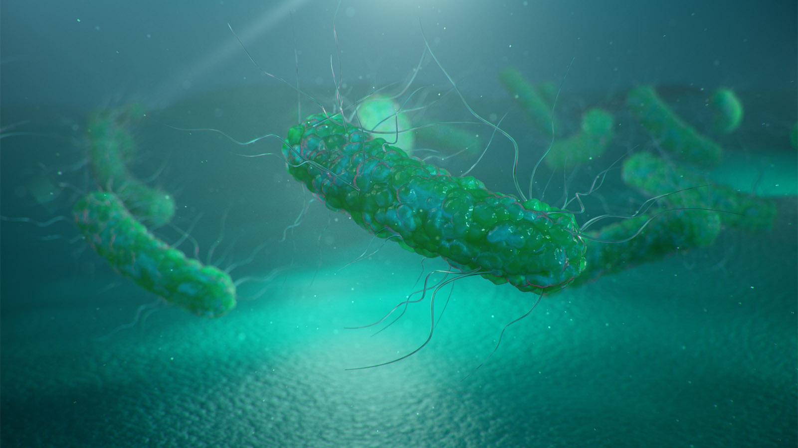 A Multi-Drug Resistant Superbug Is Mutating On The ISS