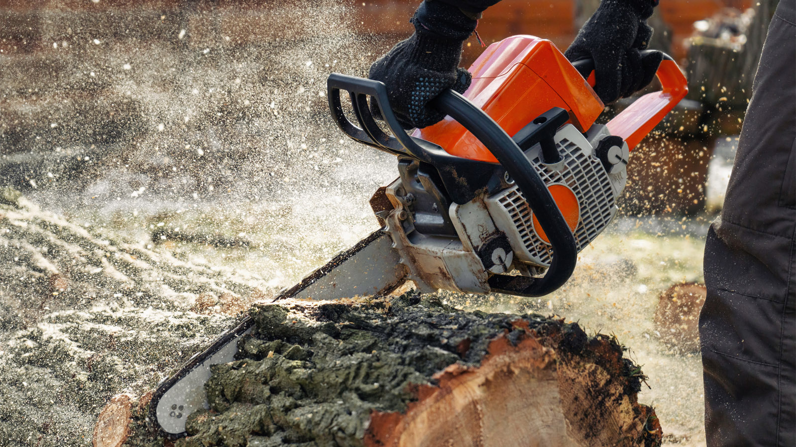 People Were Horrified To Find Out Why Chainsaws Were Invented
