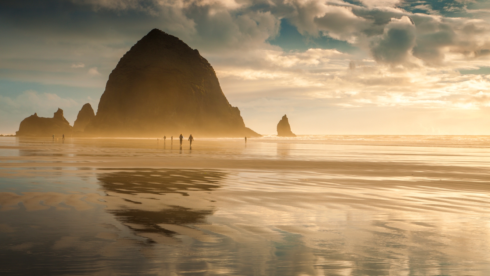 Hundreds Sign Petition To Blow Up A Whale Carcass In Oregon