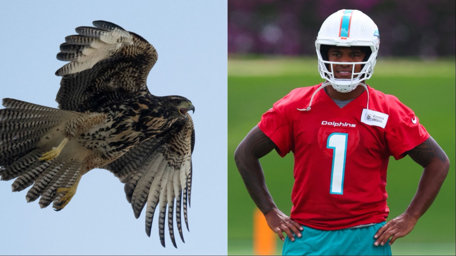 'Hawk Tuah Girl' Hailey Welch Signs With Hollywood Agency UTA