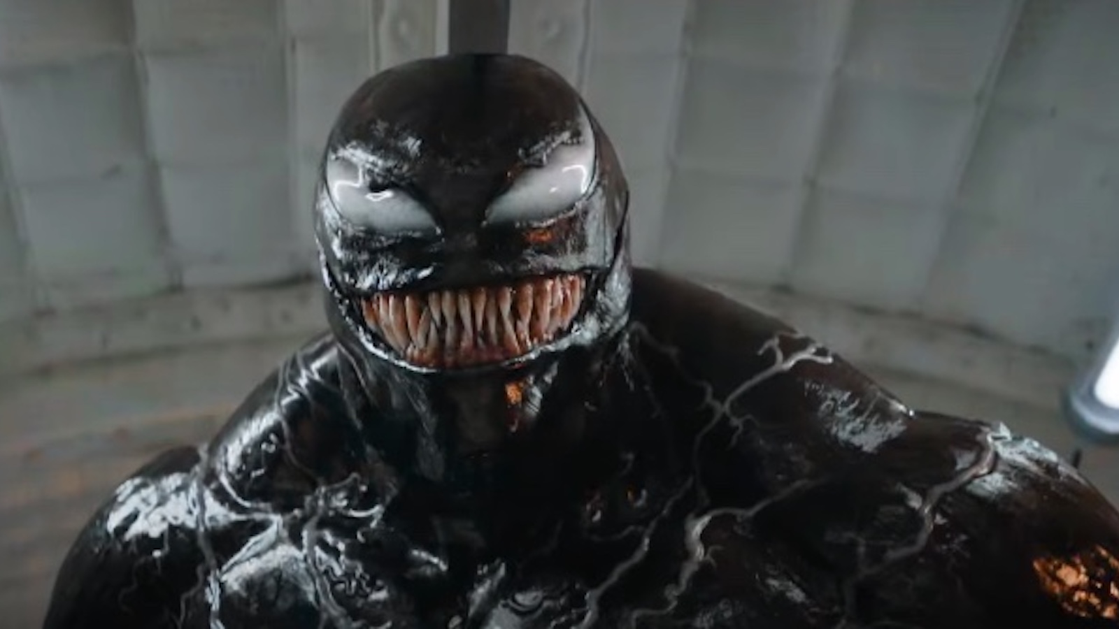 First Trailer For 'Venom: The Last Dance' Has Been Released