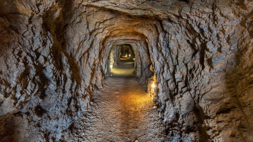 Tragic Details Reveal Aqib Talib's Brother Allegedly Shot And Killed Coach In Front Of 80 Kids ...