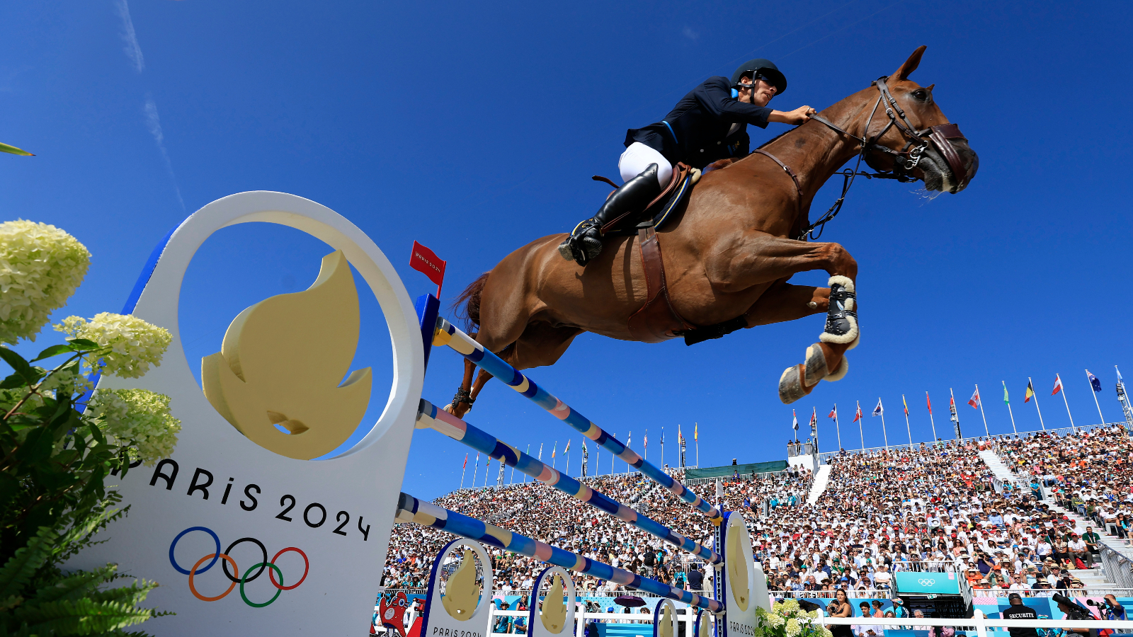 Horses Revolt During Olympic Jumping Event In Eerie Repeat Of Tokyo ...