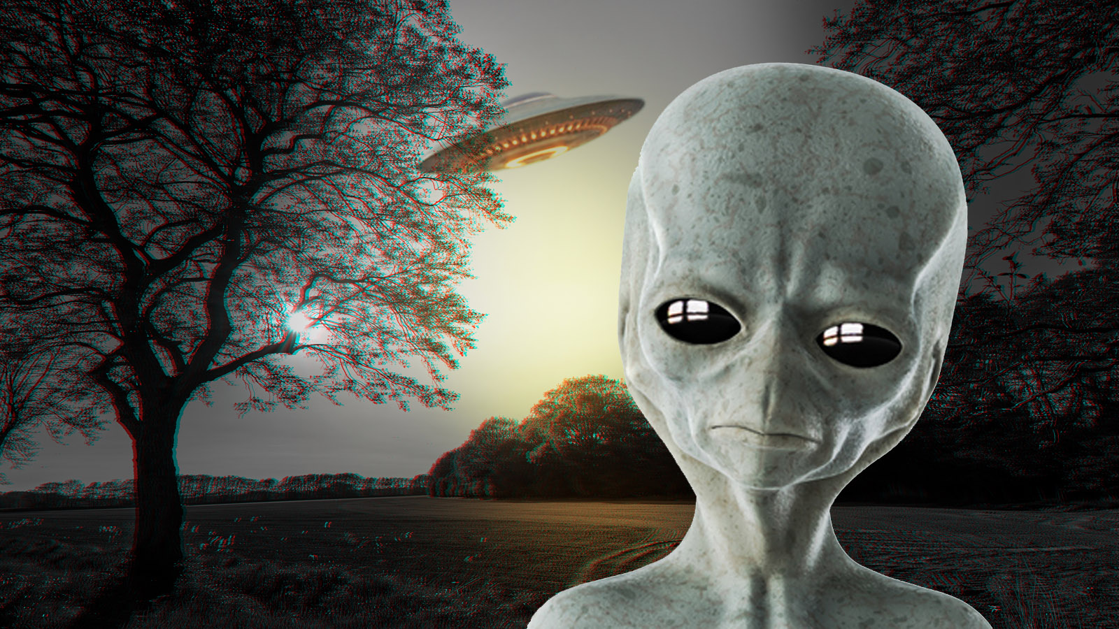 'Alien Corpses' Had 'Communication' Devices In Their Bodies?
