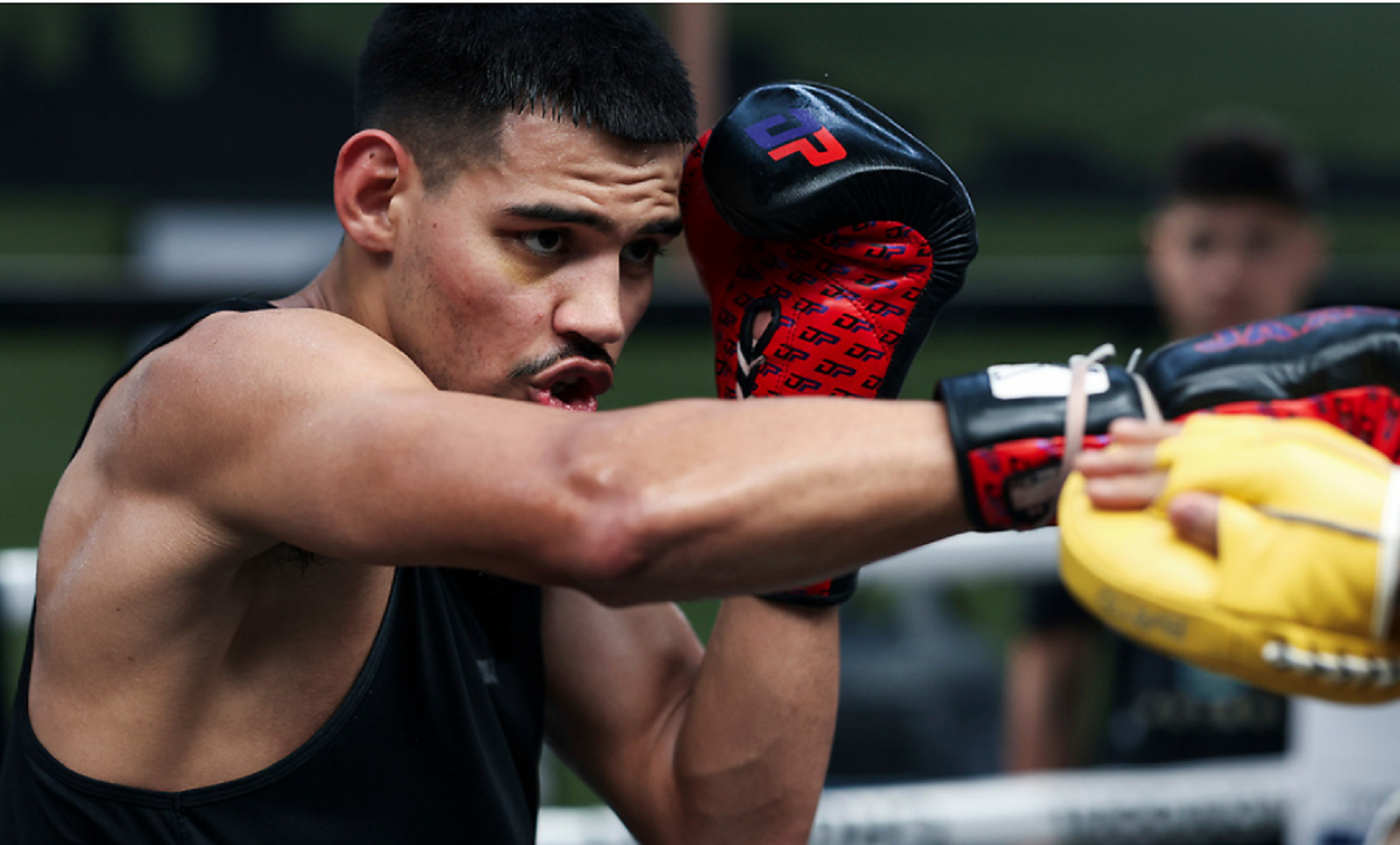 Diego Pacheco Patiently Waiting For Title Shot 'Canelo Won't Be Able To ...