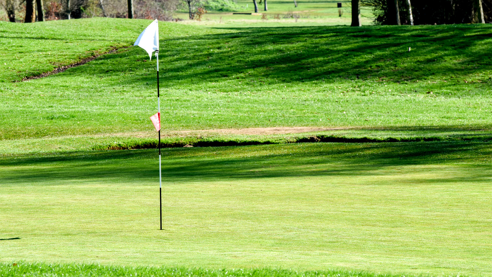 Video Shows A Ford Bronco Driving Onto Golf Course, Hitting Cart