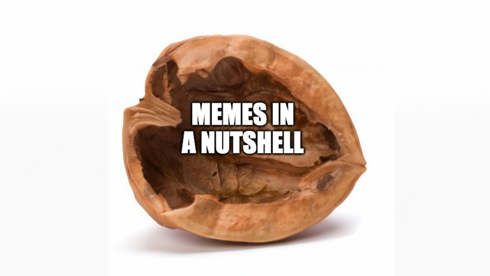 Memes - Latest News & Updates