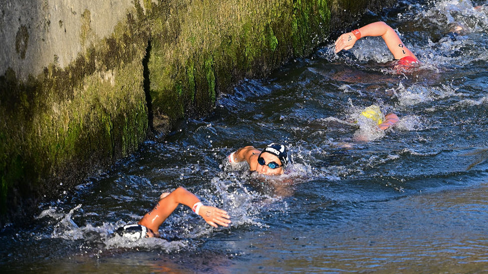 Swimmers Had To Dodge 'Brown Things' In Seine During Olympics