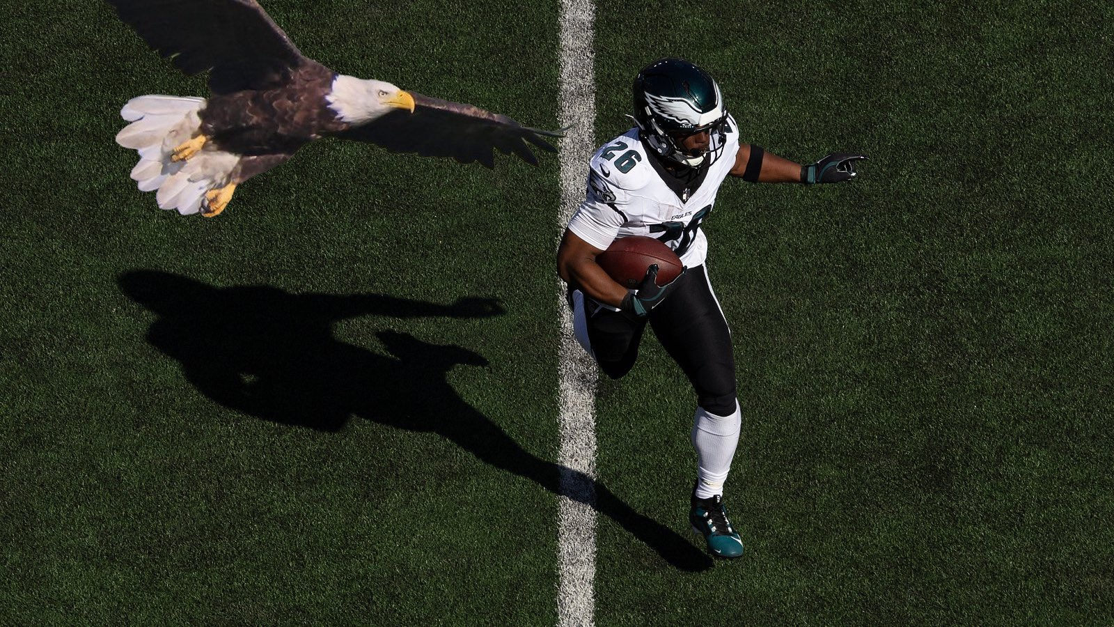 Philly Fan Rescues Injured Eagle, Names It Saquon Barkley