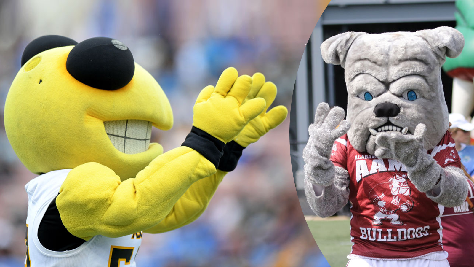 Haymakers Fly As College Mascots Throw Hands During Fist Fight